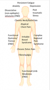 Functional Cognitive Symptoms – Functional Neurological Disorder (FND)