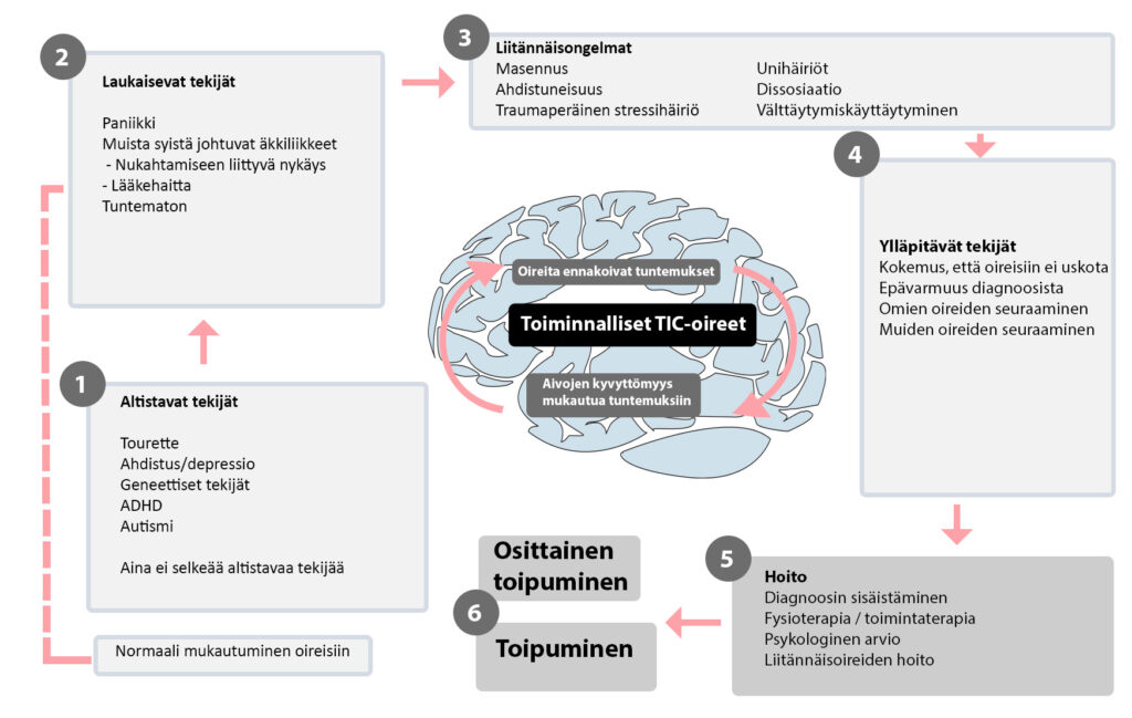 Tic-oireet – Functional Neurological Disorder (FND)